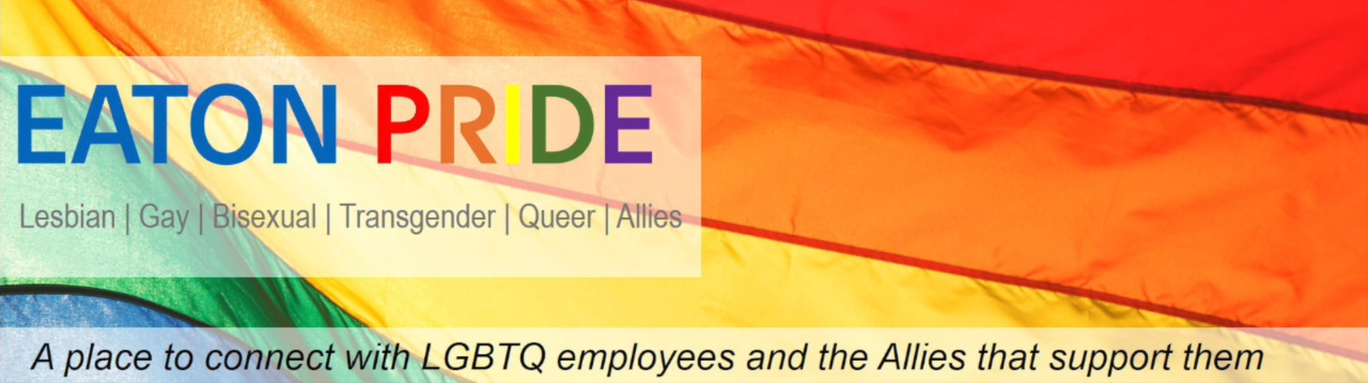 Eaton LGBTQ+ and allies inclusion resource group celebrate PRIDE