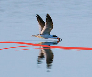 WSP unveils long-term vision in Global Strategic Action Plan